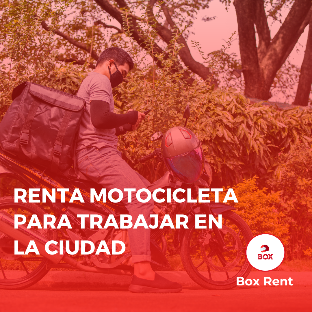 BOX MENSAJERIA